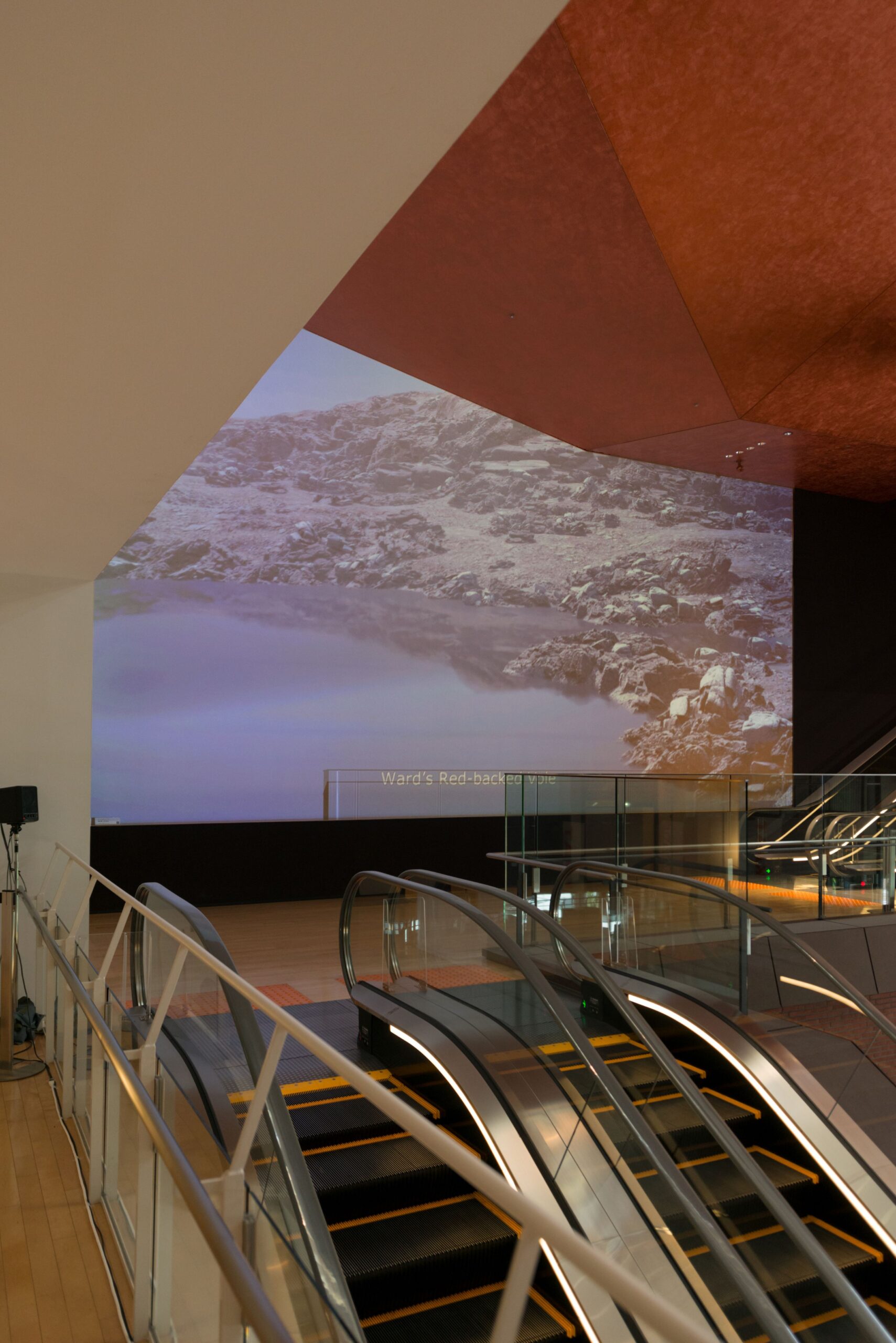 KAAT Atrium Video Project – Yuki Harada